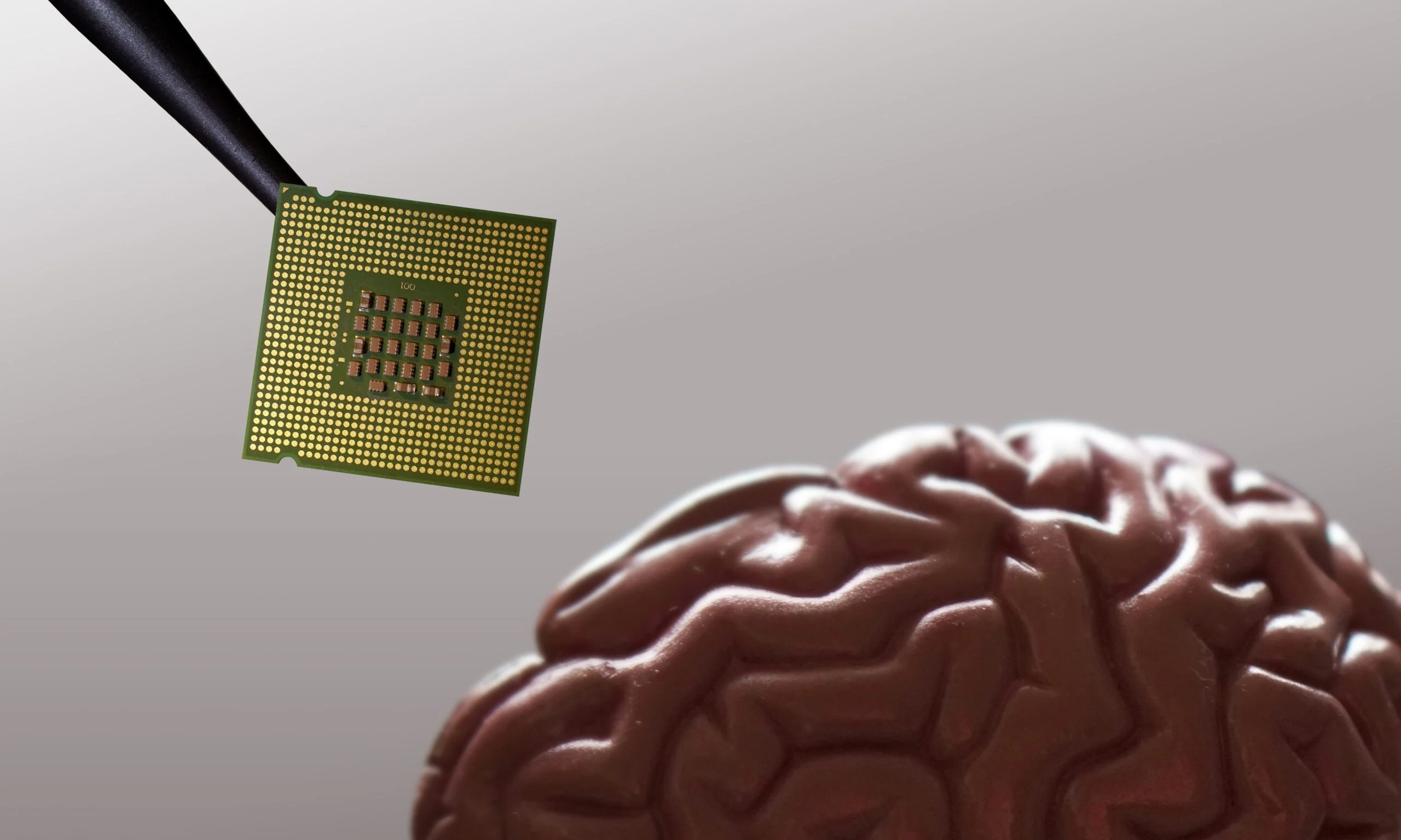 Neuralink Competitor Paradromics Achieves First Human Implant of Its ...